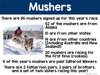 Alaska Sled Dog Racing Bundle by Holmquist's Homeroom | TpT