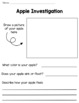 First Grade Apple Mini Unit | Science and Math Integrated | TPT