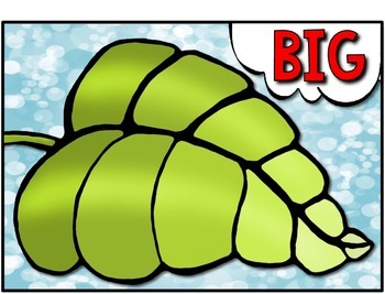 Bug Sorting | Insect Sorting By Size | Spring Sorting Math Center