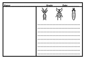 Bugs, Insects Writing Paper #281, Spring Distance Learning by Nitin Sharma