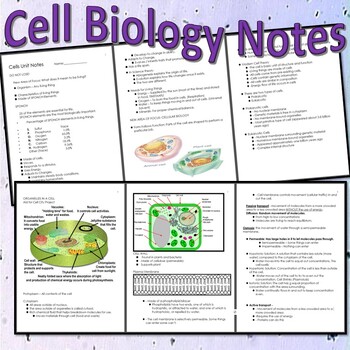 Cellular Biology Unit Notes: Detailed Guide & Design for Educators and ...