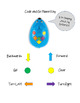 Code & Go Mouse (Colby) Visual Guides | Blue & Purple Versions | PDF ...