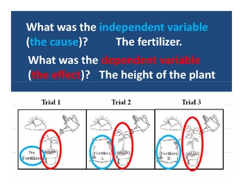 Haney Science Teaching Resources | Teachers Pay Teachers