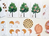 Fall Math Unit Bundle by Toadstool Montessori | TPT