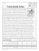 Reading Fluency Homework Level R Set 2 - Reading Comprehension Passages ...