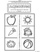 Reading Street Common Core Interactive Notebook First Grade Unit R