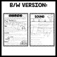 Sound Informational Text Reading Comprehension Worksheet Basic Science