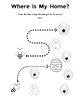 Spring Color & Trace Activity Bundle by PrimaryPals | TPT