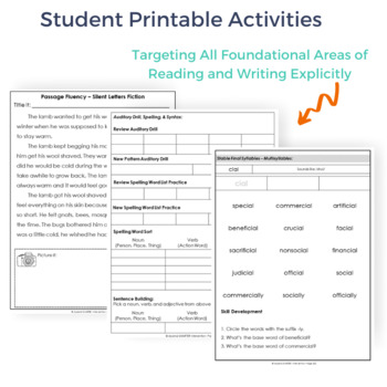 Stable Final Syllables & Complex Pattern Lessons INCLUDES DIGITAL