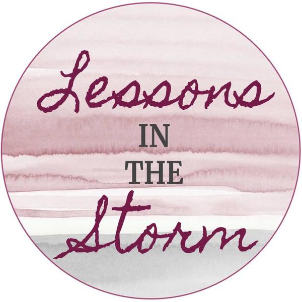 Lessons in the Storm Teaching Resources | Teachers Pay Teachers
