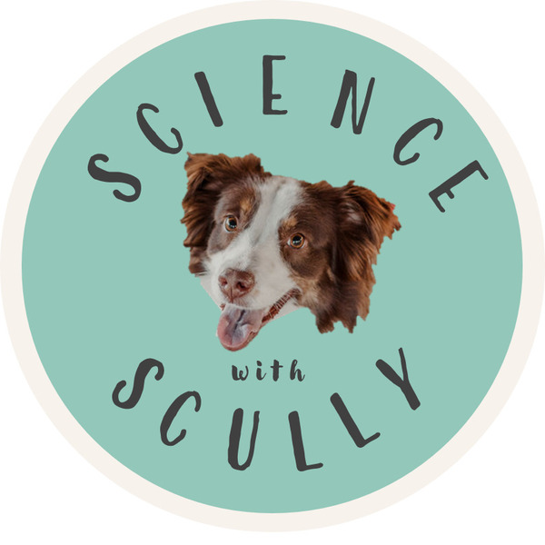 Science with Scully Teaching Resources | Teachers Pay Teachers