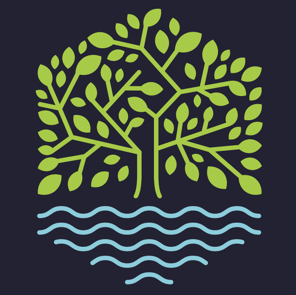 Spring Lane Learning Teaching Resources | Teachers Pay Teachers