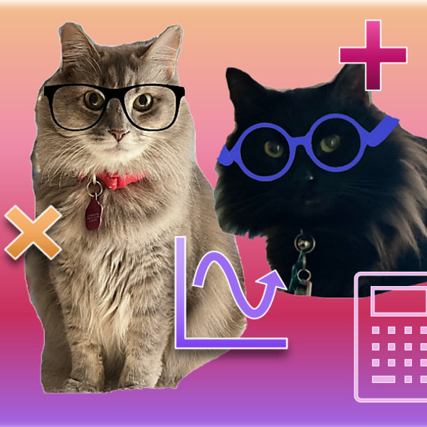 Statistically Probable Success in Statistics Teaching Resources ...