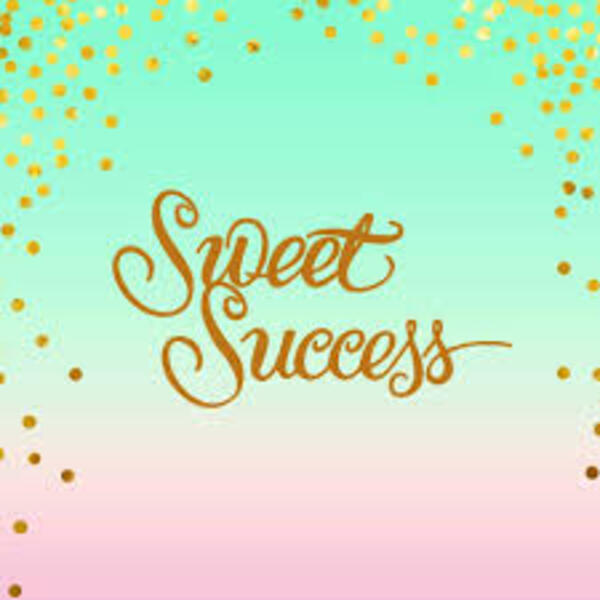 Sweet Success in SpEd Teaching Resources | Teachers Pay Teachers