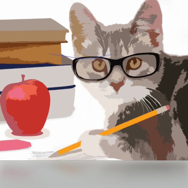 The Cat's Curriculum Teaching Resources | Teachers Pay Teachers